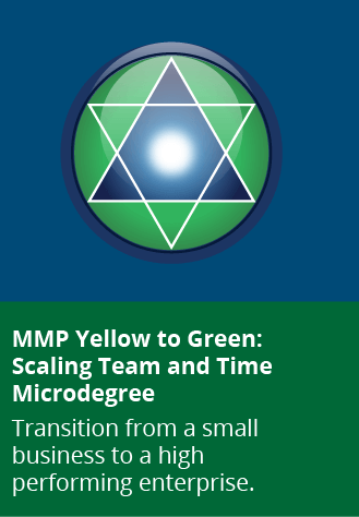 Millionare Master Plan | Yellow to Green: Scaling Team and Time Microdegree